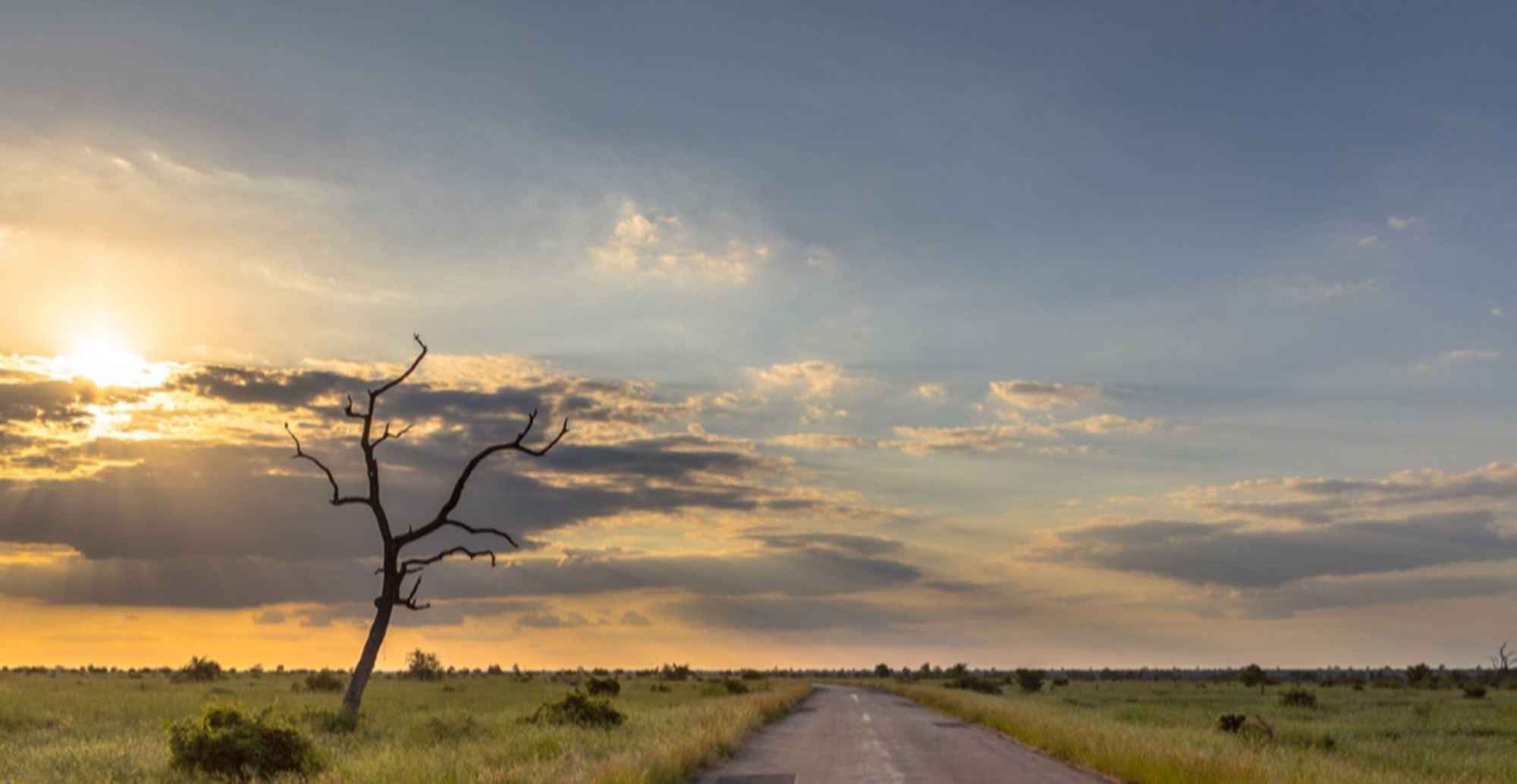 Asset Management - Zimnat Insurance Group