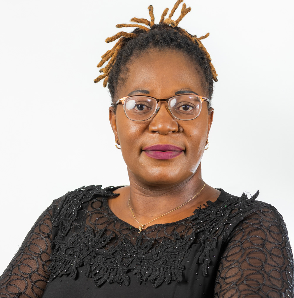 Life Assurance - Zimnat Insurance Group